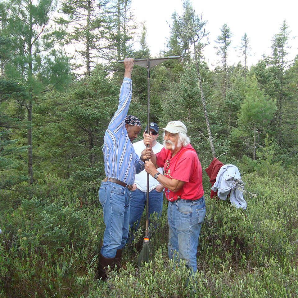 Bogging at Kemp Station - LVBrown Studio | Environmental Conceptual Design