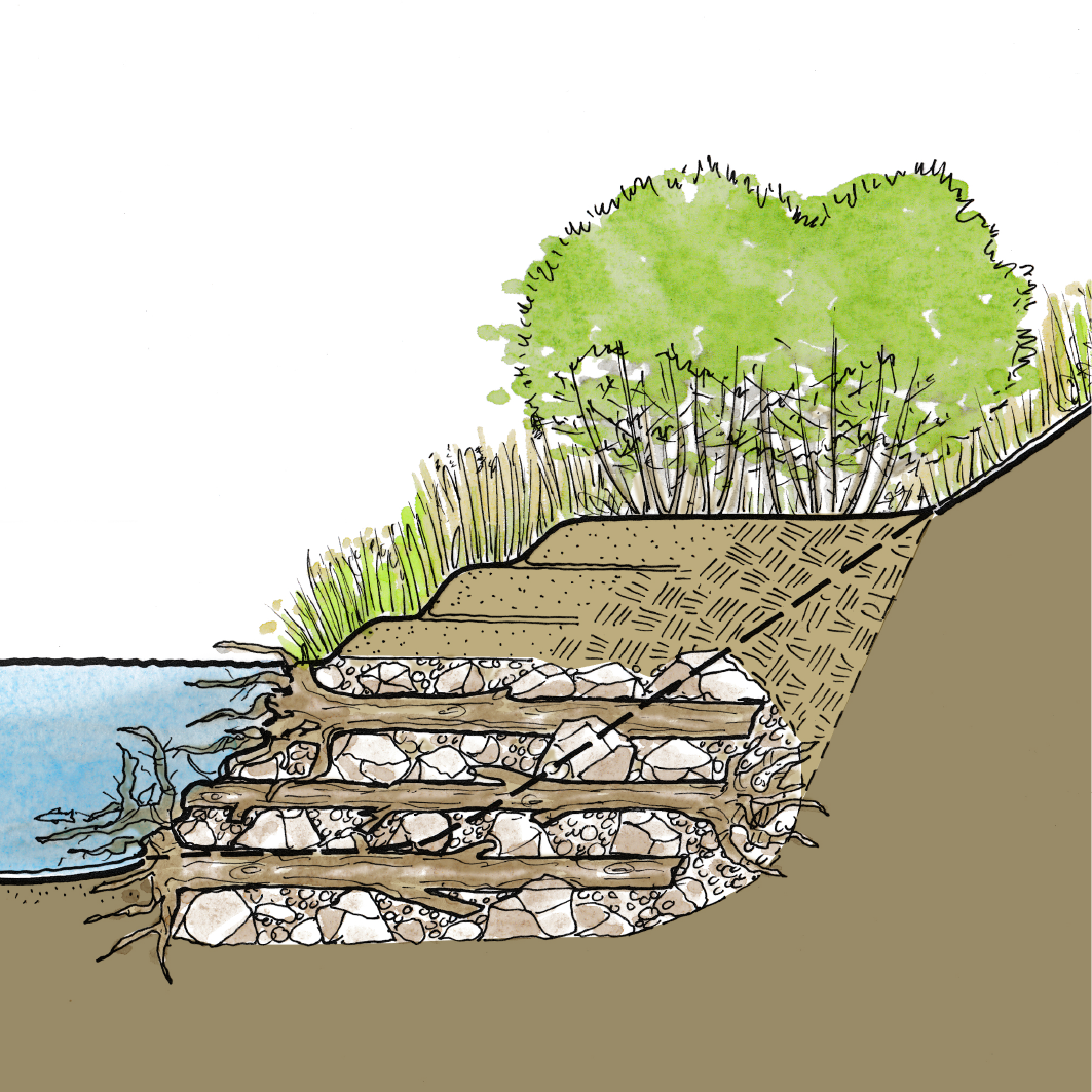 Environmental Illustration - LVBrown Studio | Imagine, Visualize ...