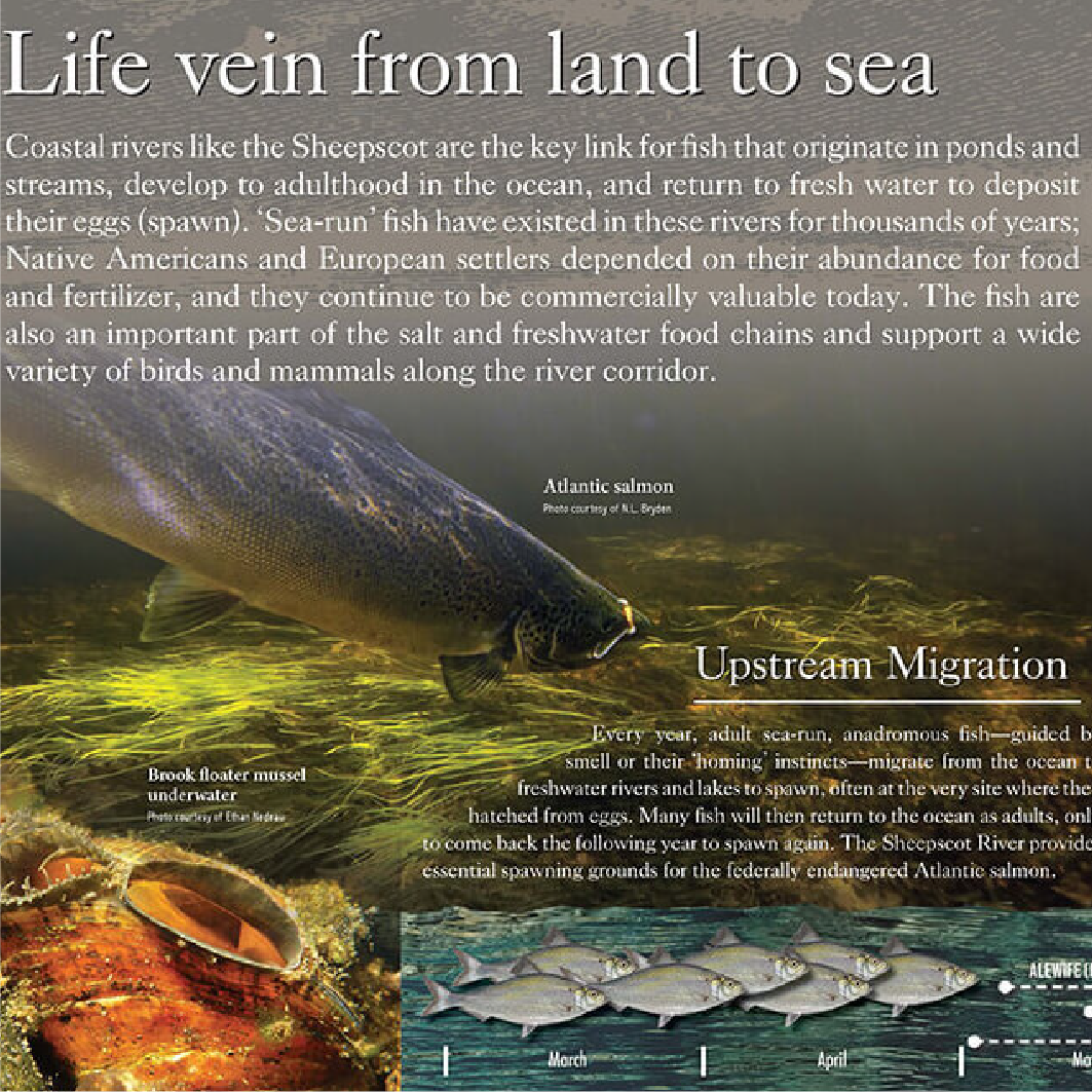 Interpretive Signage Design - LVBrown Studio | Imagine, Visualize ...